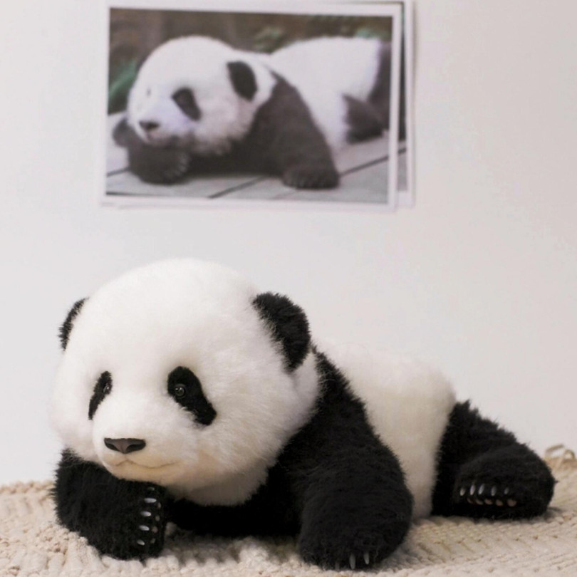 Realistic Meng Lan Panda Plush | Handmade 3-Months Lifelike Panda Plush