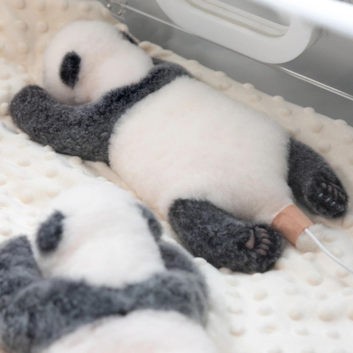 Newborn Panda Plush - Realistic Panda Twins Plush| Panda Factory Shop